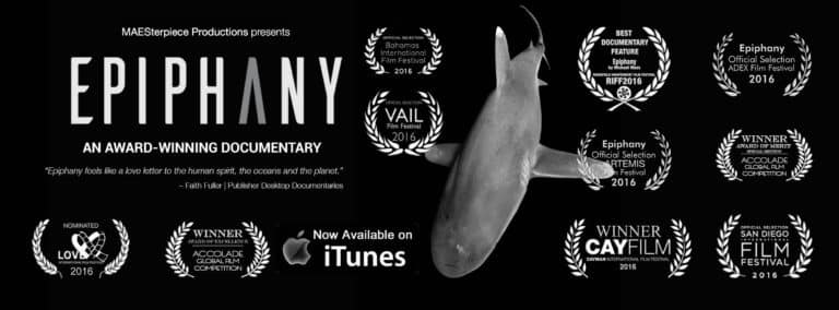 Epiphany Released - Epic Diving