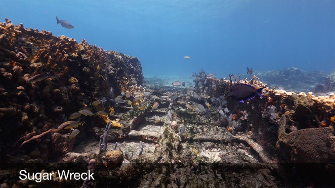 Sugar Wreck: Grand Bahama Island - Epic Diving